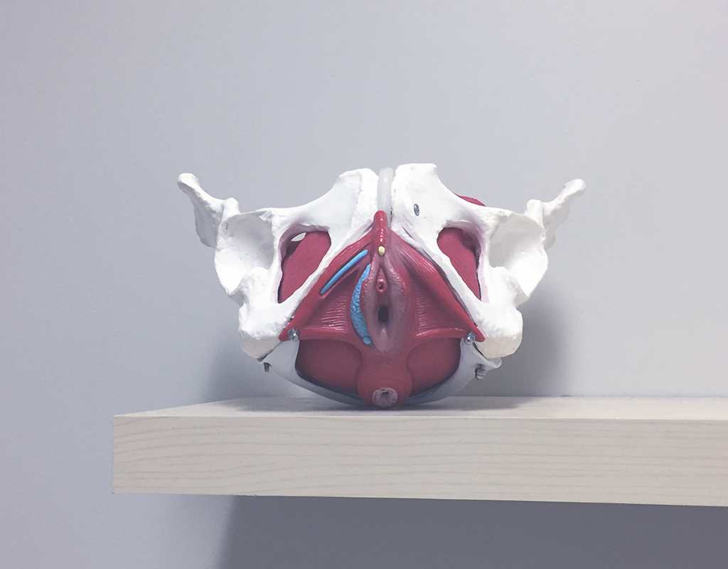 How Pelvic Floor Physiotherapy can help IC pain. - The Happy Pelvis