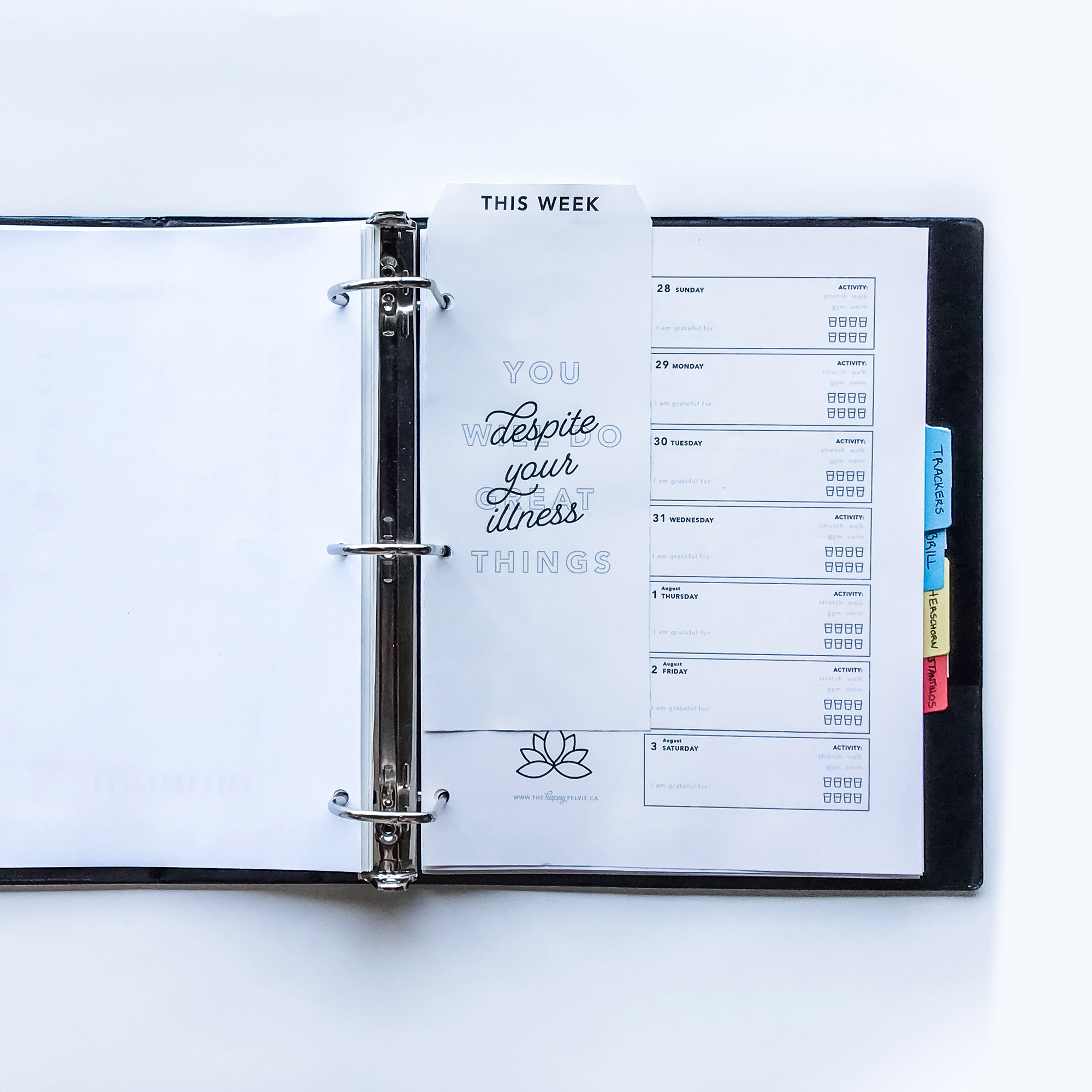 How To Create Your Own Medical Binder - The Happy Pelvis